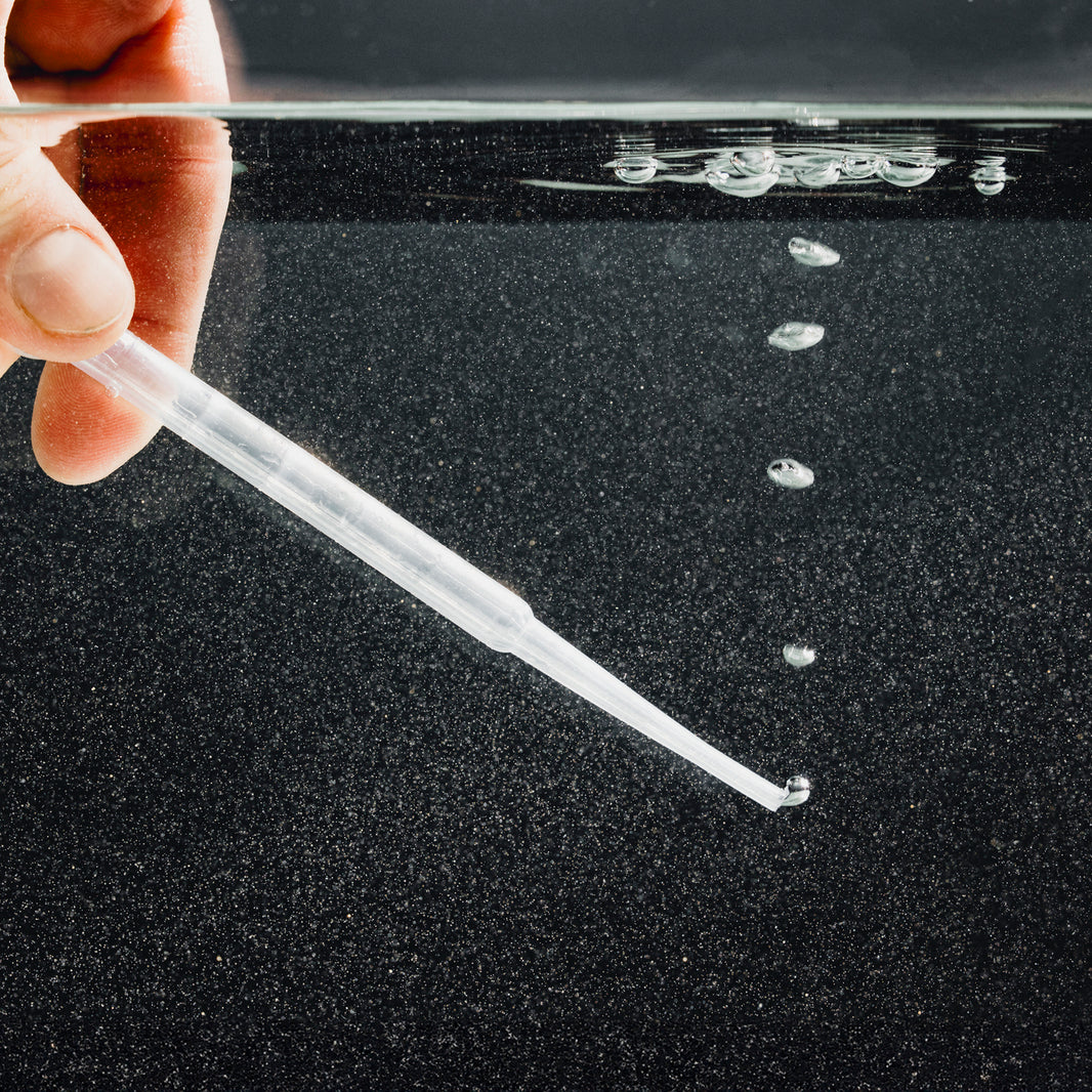 StreamBiz - Natural food for ornamental fish